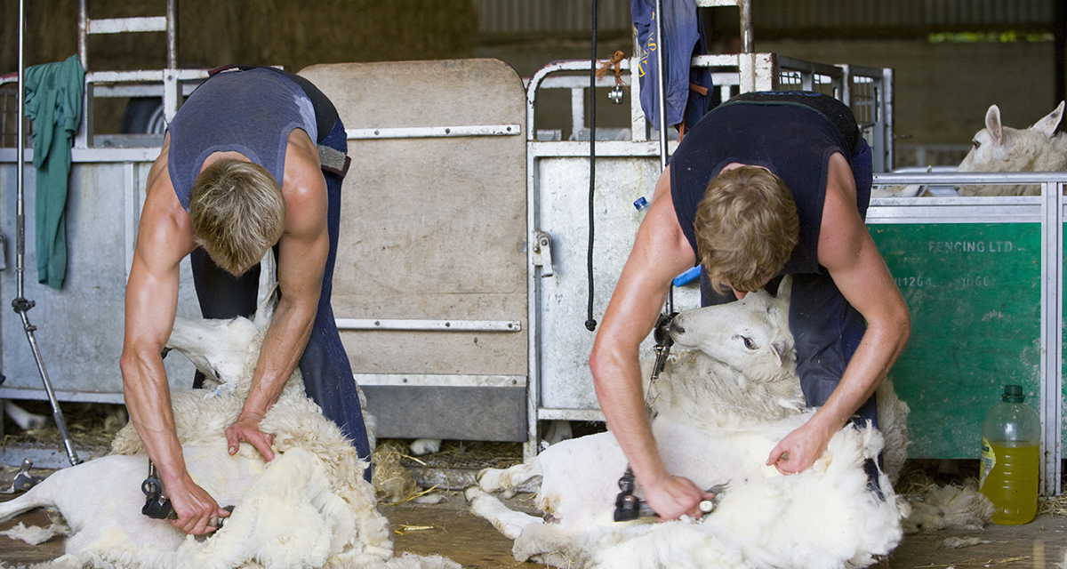 Campaigns - The Australian Workers' Union : The Australian Workers' Union