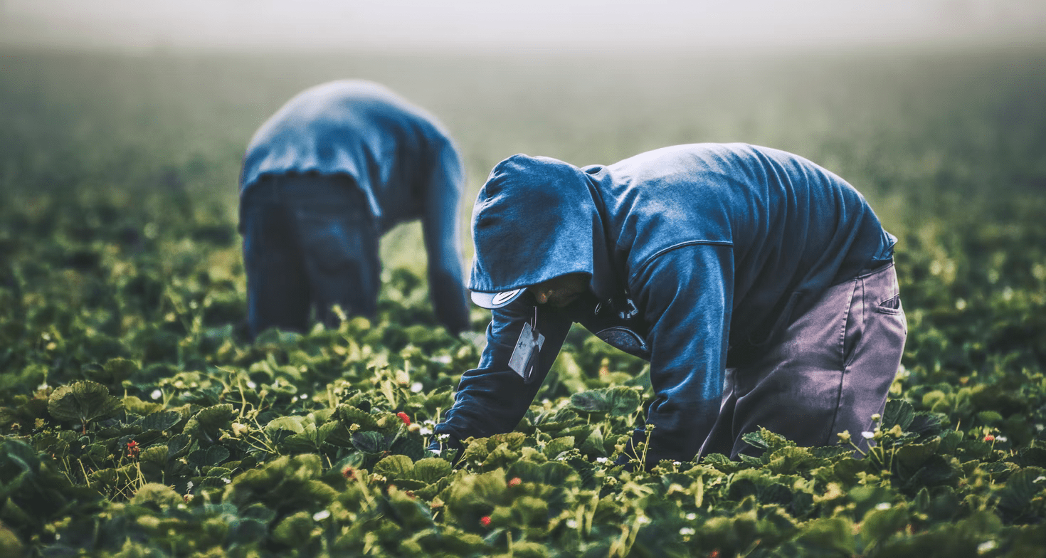 Campaigns - The Australian Workers' Union : The Australian Workers' Union