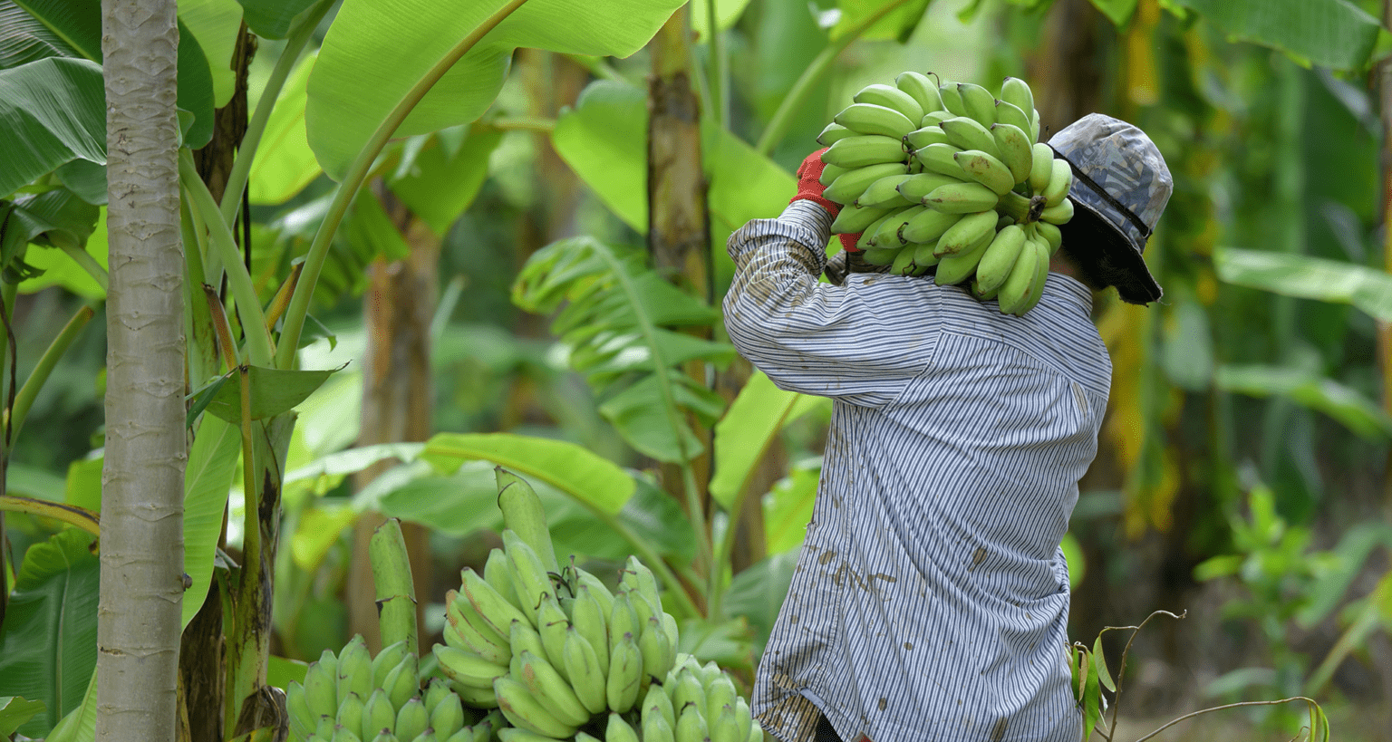 Campaigns - The Australian Workers' Union : The Australian Workers' Union